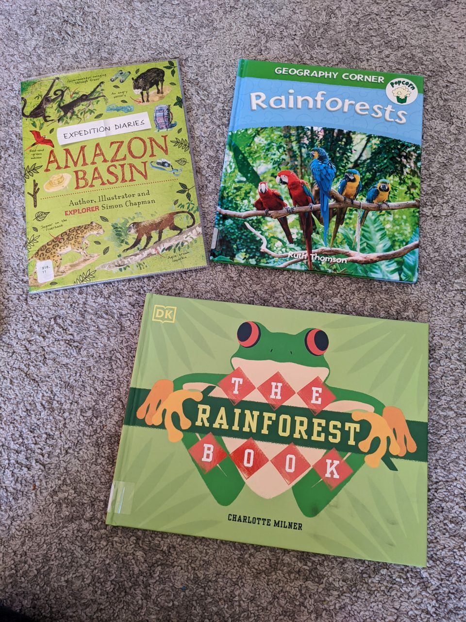 Rainforest Explorations – Spoons & Crayons